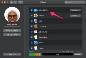 How to Access iCloud Drive on iPhone, Mac, and Windows - Gotechtor