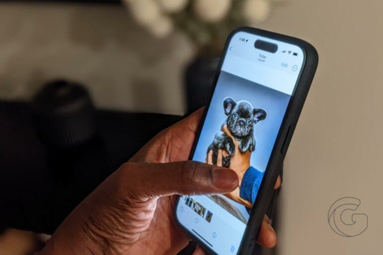 Here's How to Show a Photo to Someone on Your iPhone Without Them ...